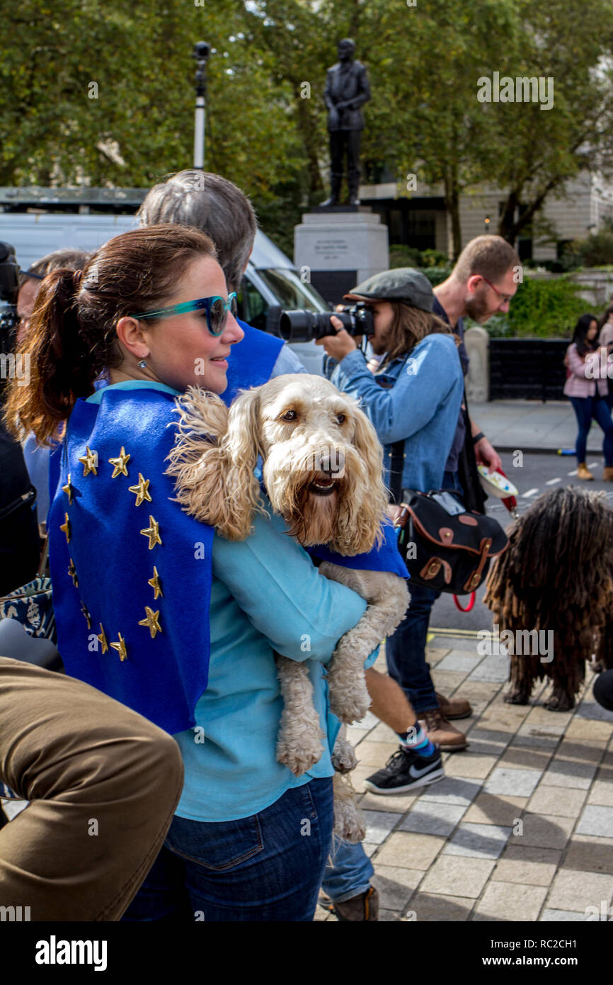 A group of dogs and their owners crowd the streets of London for the ...