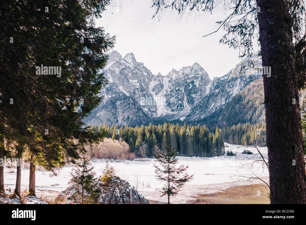 Beautiful lago di fusine hi-res stock photography and images - Alamy
