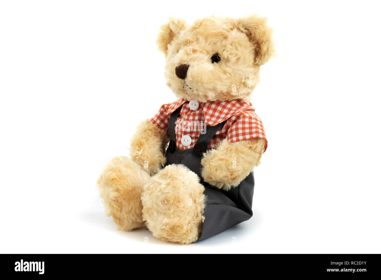 Dressed Teddy Bear High Resolution Stock Photography and Images - Alamy