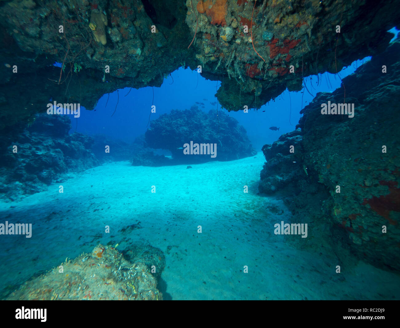 Cuba reef hi-res stock photography and images - Alamy