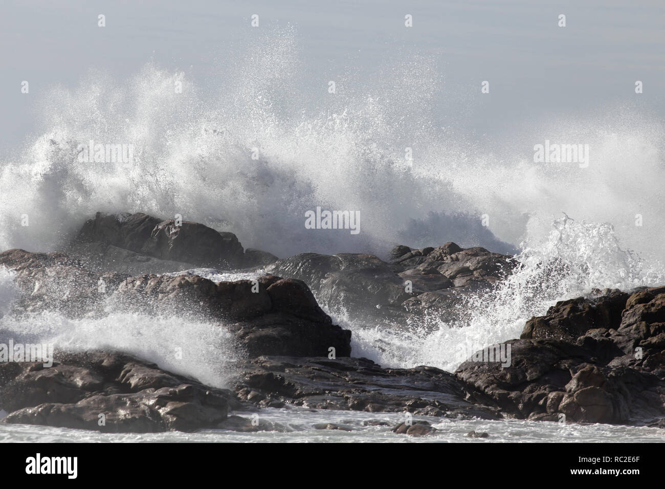 Waves sea wave splash ocean water beach spray crashing shore hi-res ...