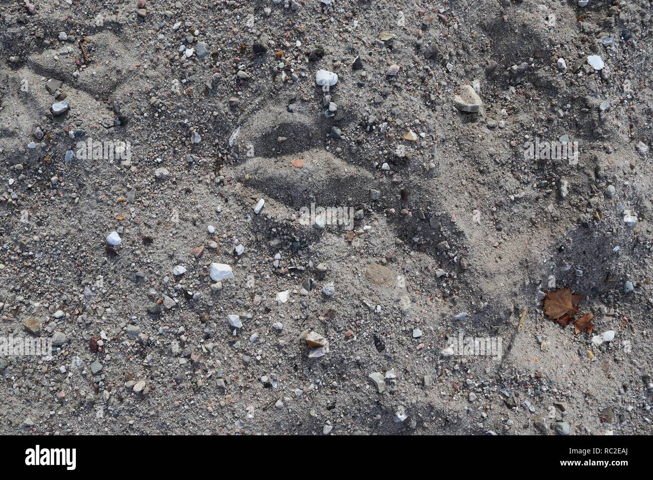 Close up surface of beach sand in high resolution Stock Photo - Alamy