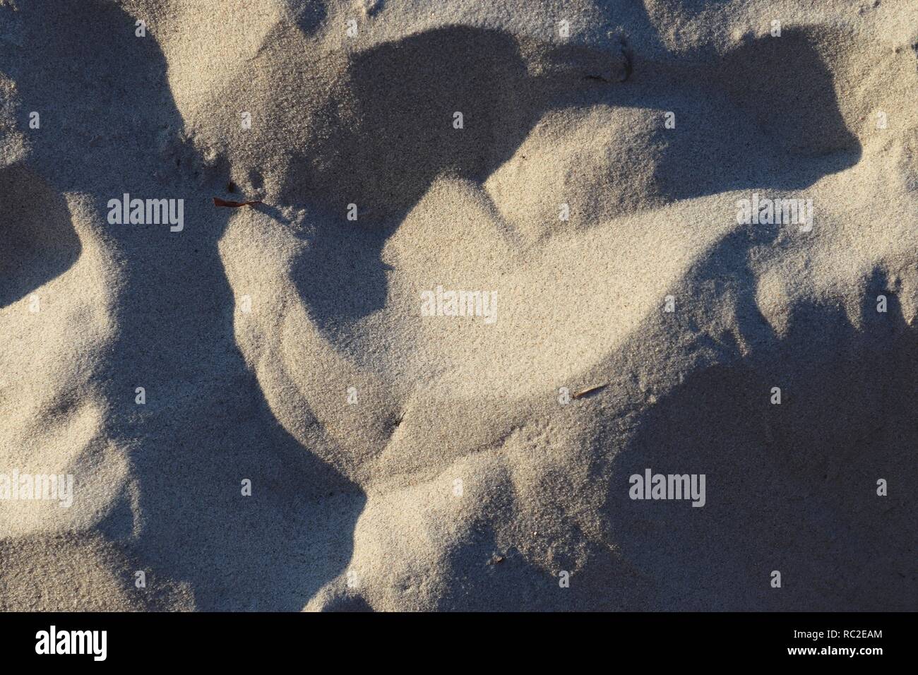 Close up surface of beach sand in high resolution Stock Photo - Alamy