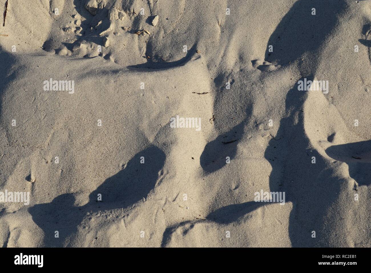 Close up surface of beach sand in high resolution Stock Photo - Alamy