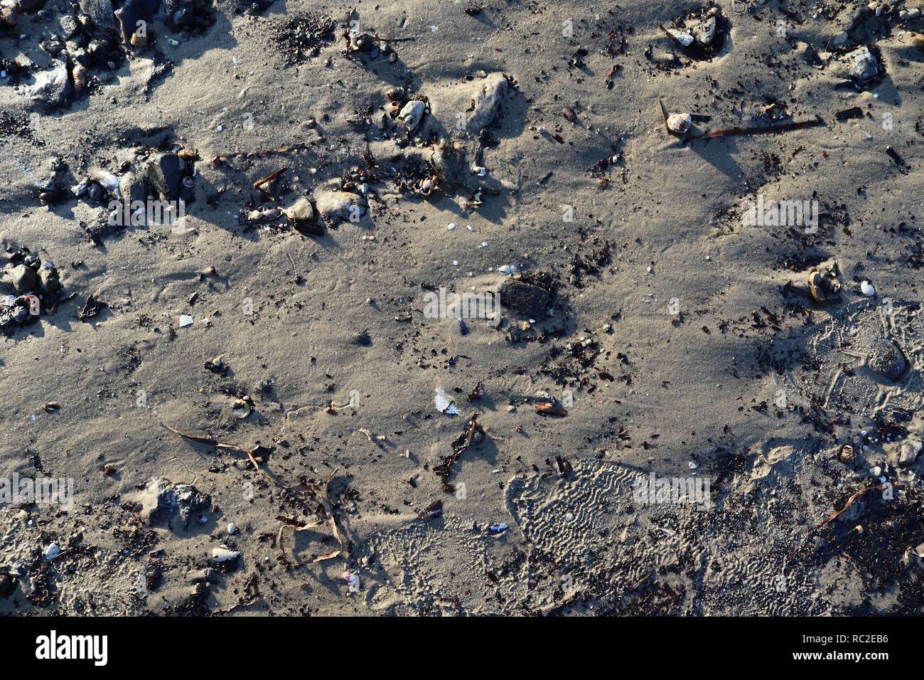 Close up surface of beach sand in high resolution Stock Photo - Alamy