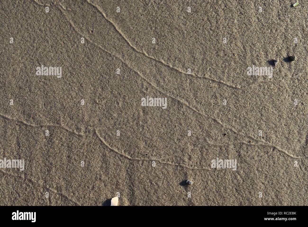 Close up surface of beach sand in high resolution Stock Photo - Alamy