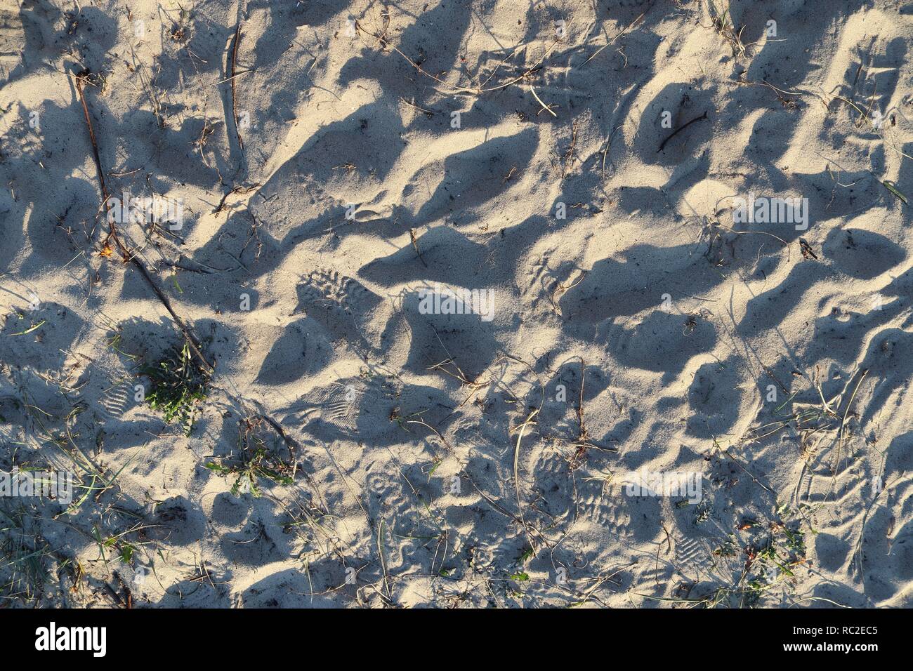 Close up surface of beach sand in high resolution Stock Photo - Alamy