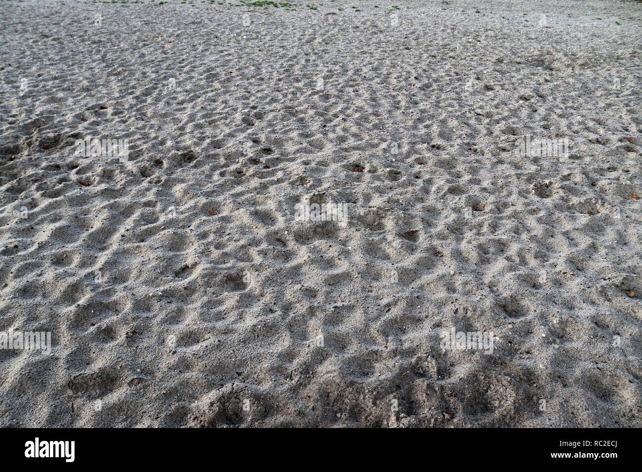 Close up surface of beach sand in high resolution Stock Photo - Alamy
