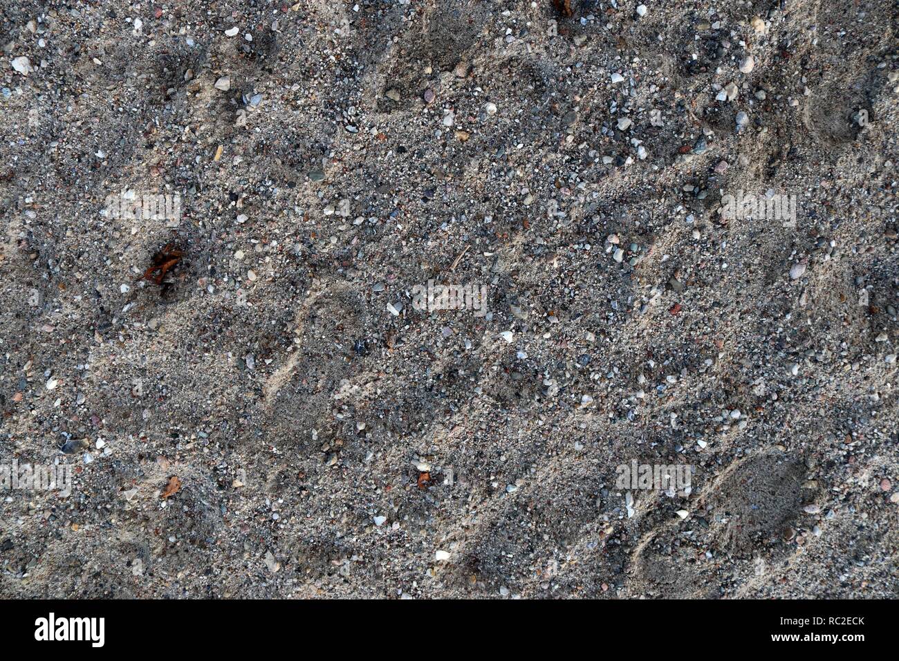 Close up surface of beach sand in high resolution Stock Photo - Alamy