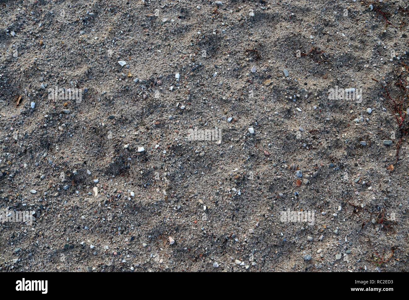 Close up surface of beach sand in high resolution Stock Photo - Alamy