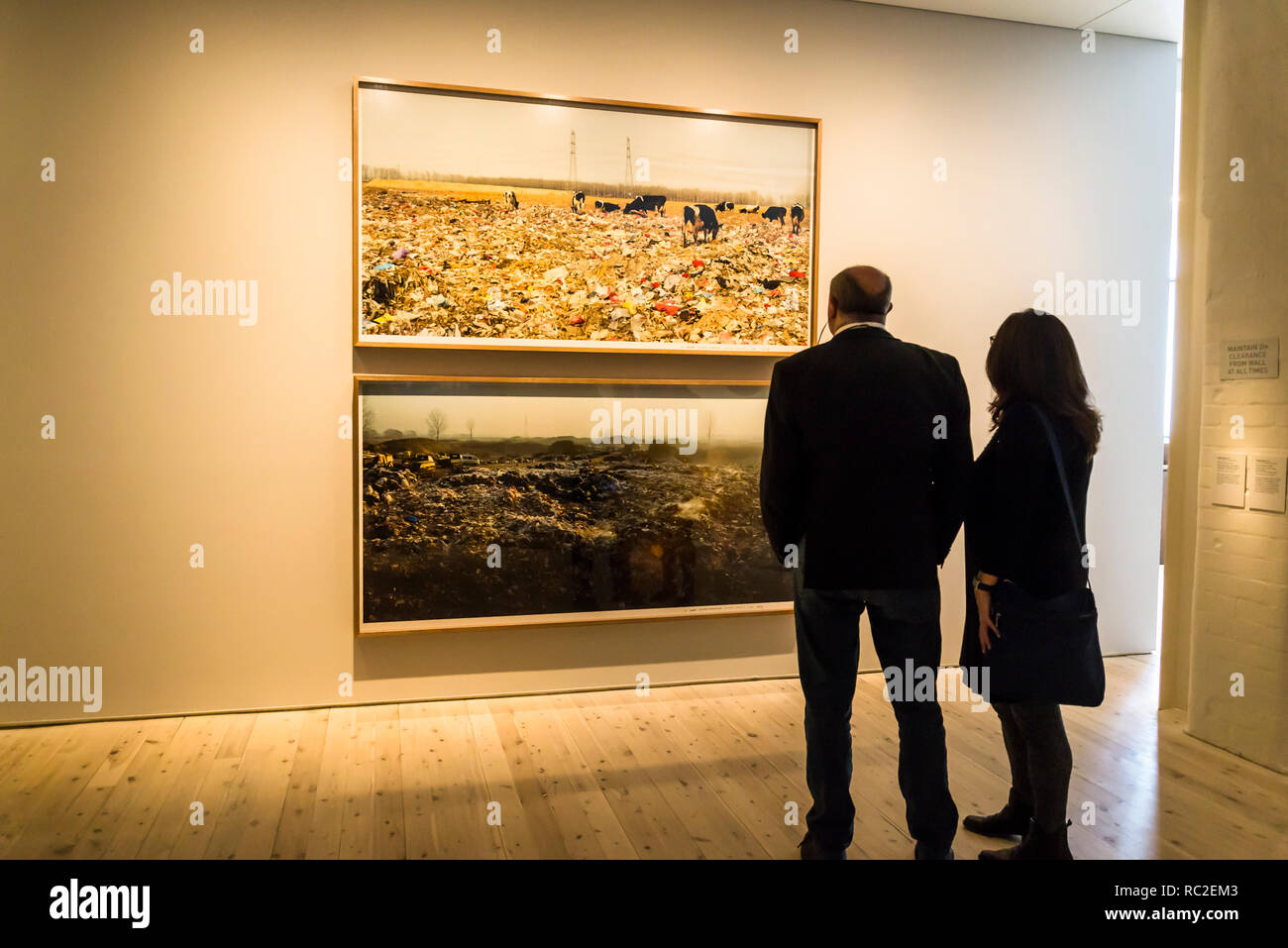 Sydney the white rabbit gallery hi-res stock photography and images - Alamy