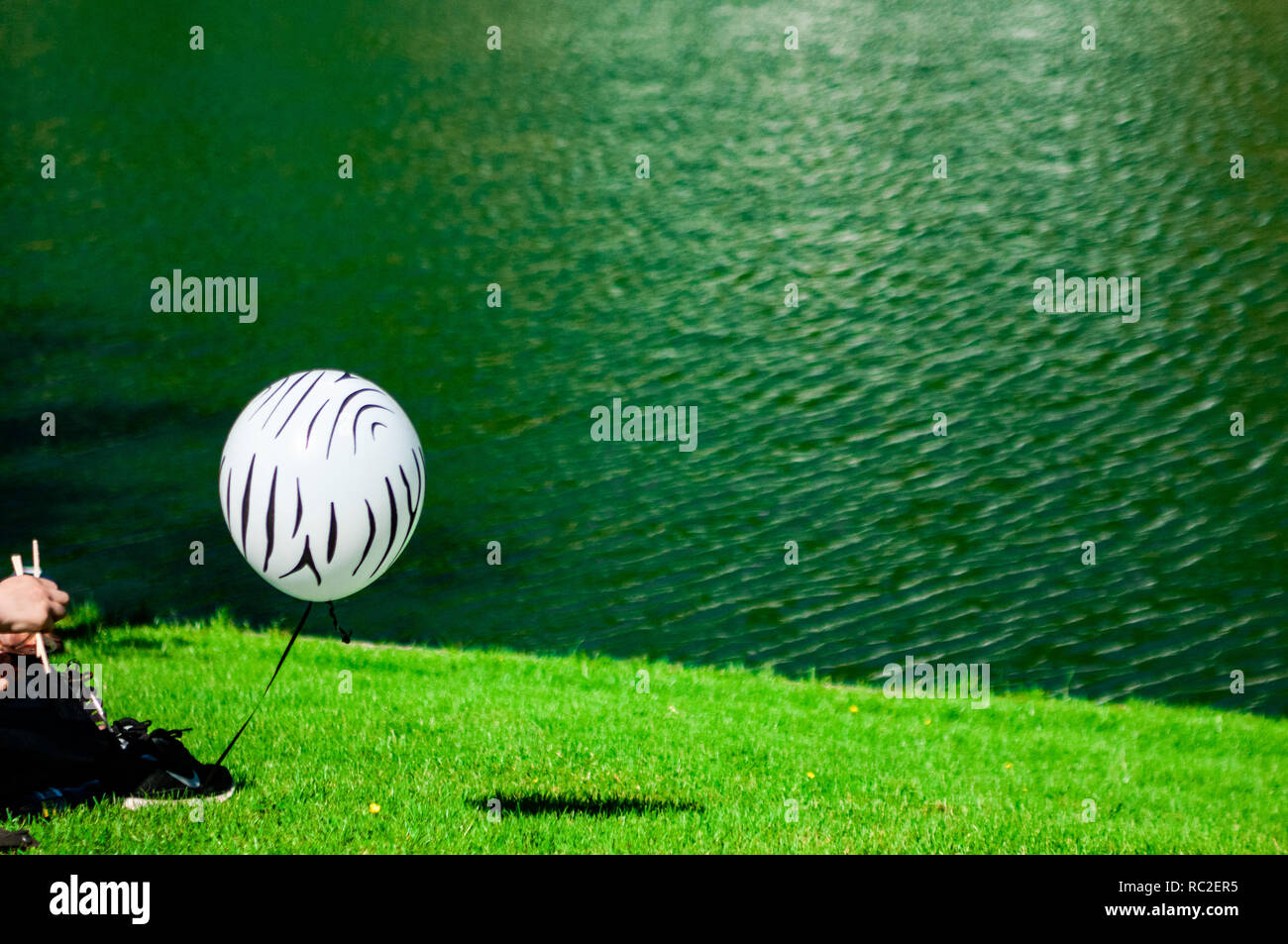 A zebra print balloon floating next to a lake Stock Photo - Alamy