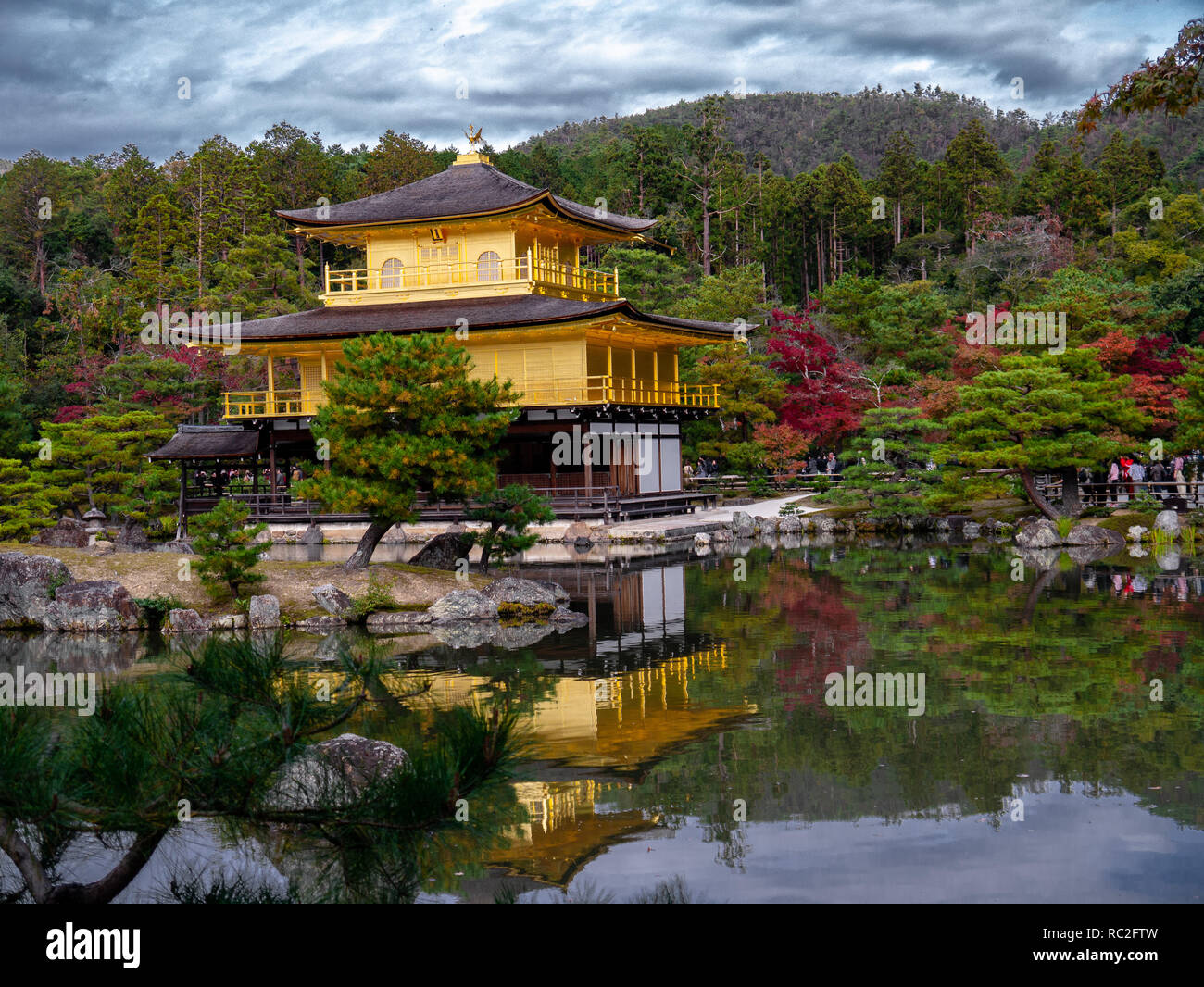 Kinkaku-ji floating, Kyoto Stock Photo - Alamy