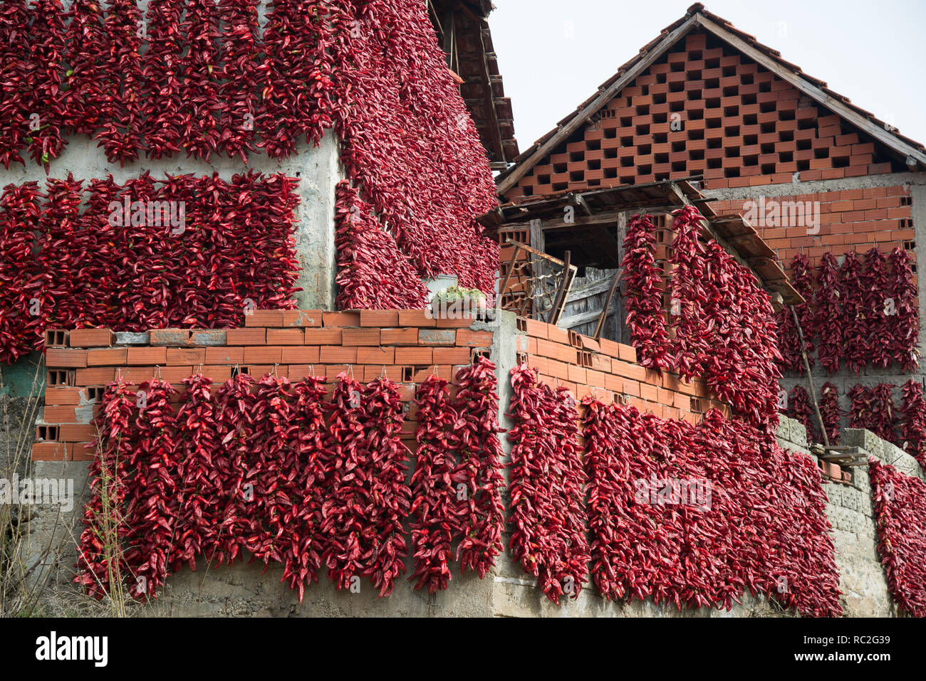 Drying of red peppers Stock Photo - Alamy
