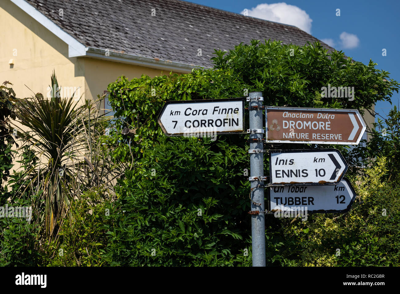 Ruan hi-res stock photography and images - Alamy