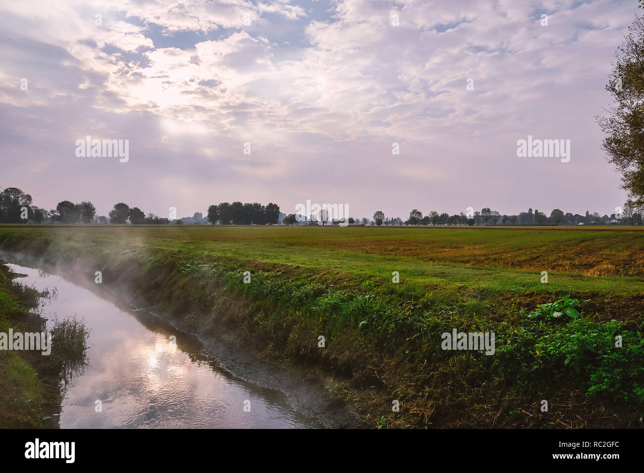 Fog Irrigation High Resolution Stock Photography and Images - Alamy