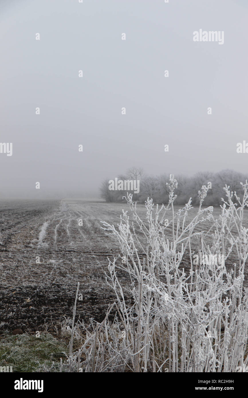 Frozen temperture hi-res stock photography and images - Alamy