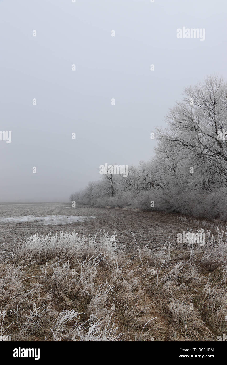 Frozen temperture hi-res stock photography and images - Alamy