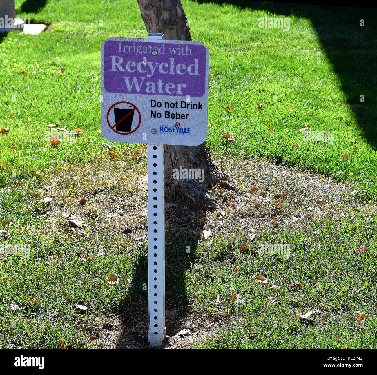 Irrigated by water hi-res stock photography and images - Alamy