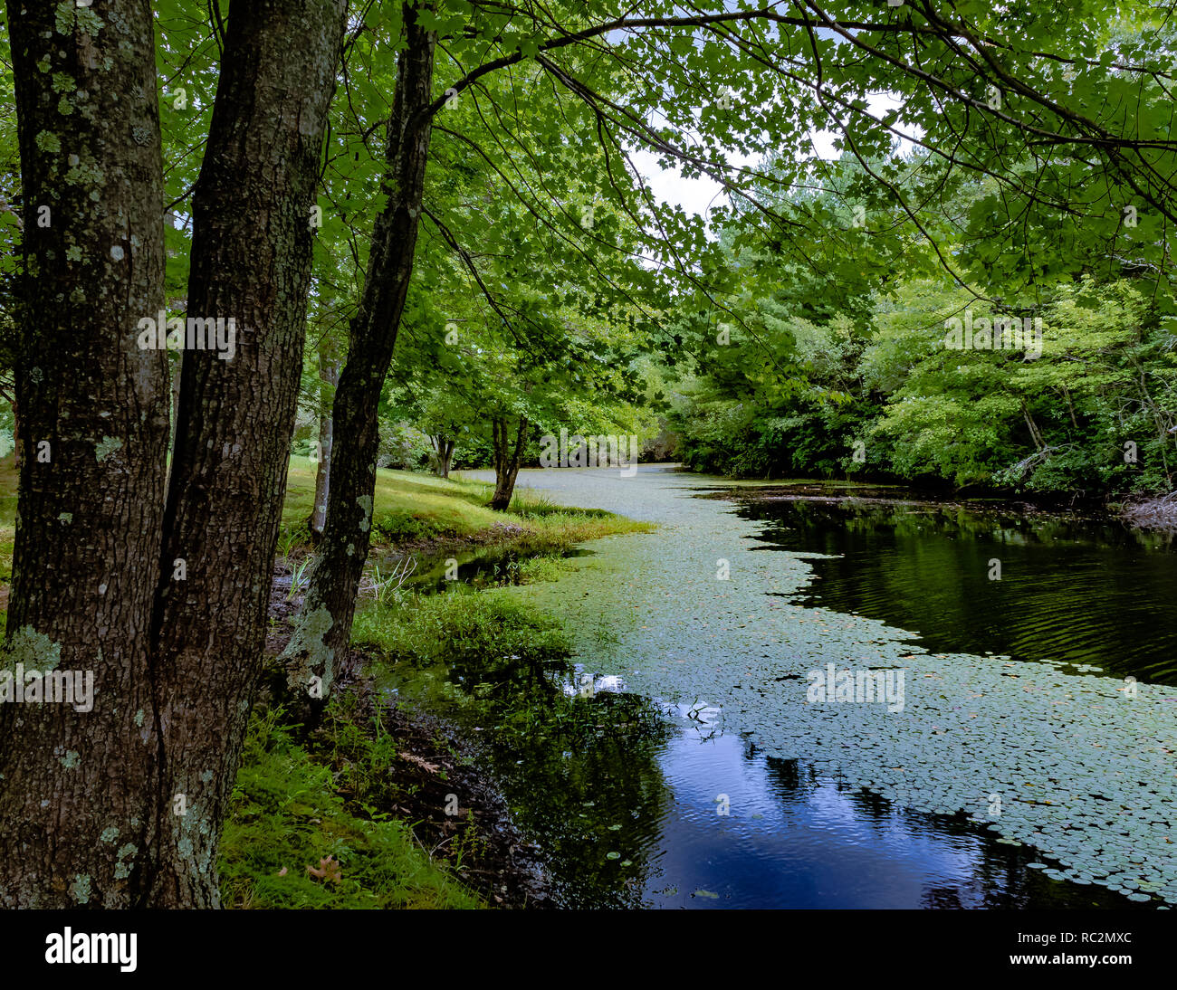 a nice quiet place to have a pic nick Stock Photo - Alamy