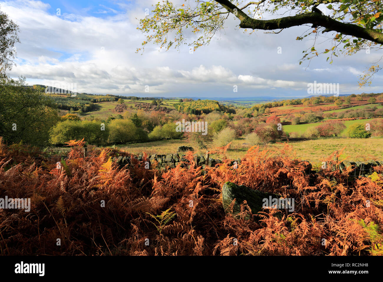 Autumn view over Birchen Edge, Peak District National Park, Derbyshire ...
