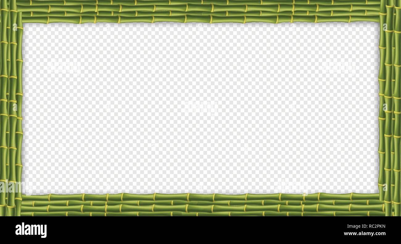 Vector illustration of green bamboo rectangle stick border. Art design ...