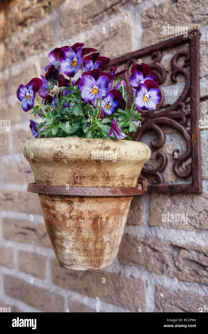 Hanging cast iron pot hi-res stock photography and images - Alamy
