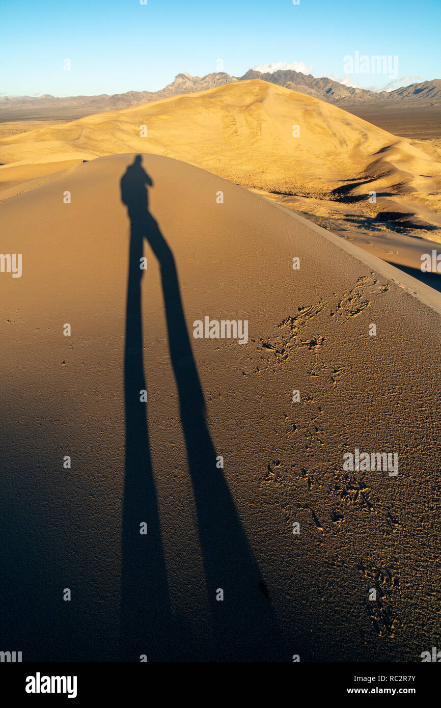 The photographer's shadow on a sand dune, Kelso Sand Dunes, Mojave ...