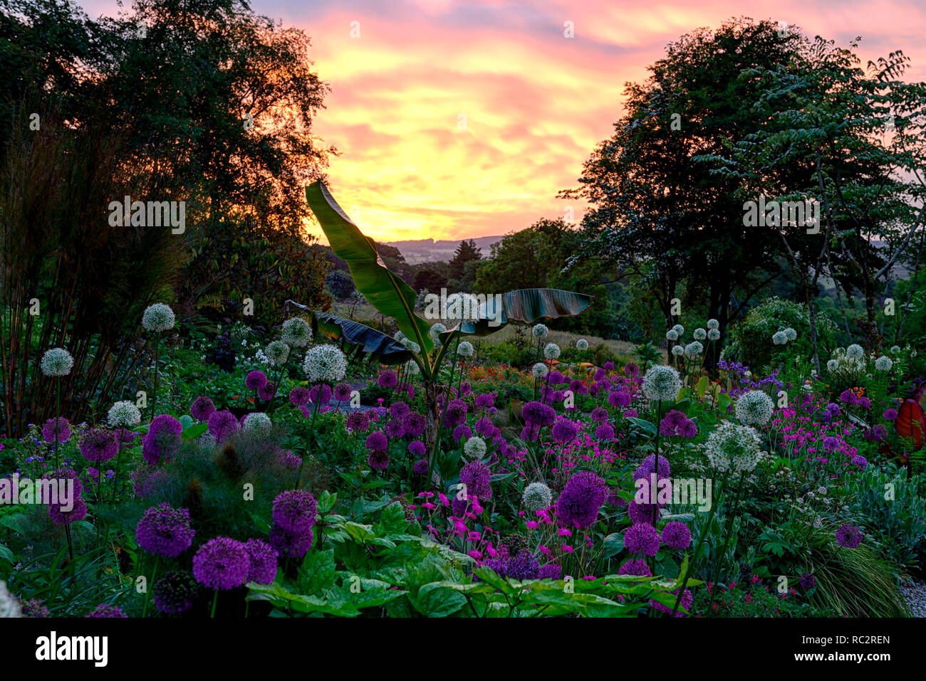Everest sunrise hi-res stock photography and images - Alamy