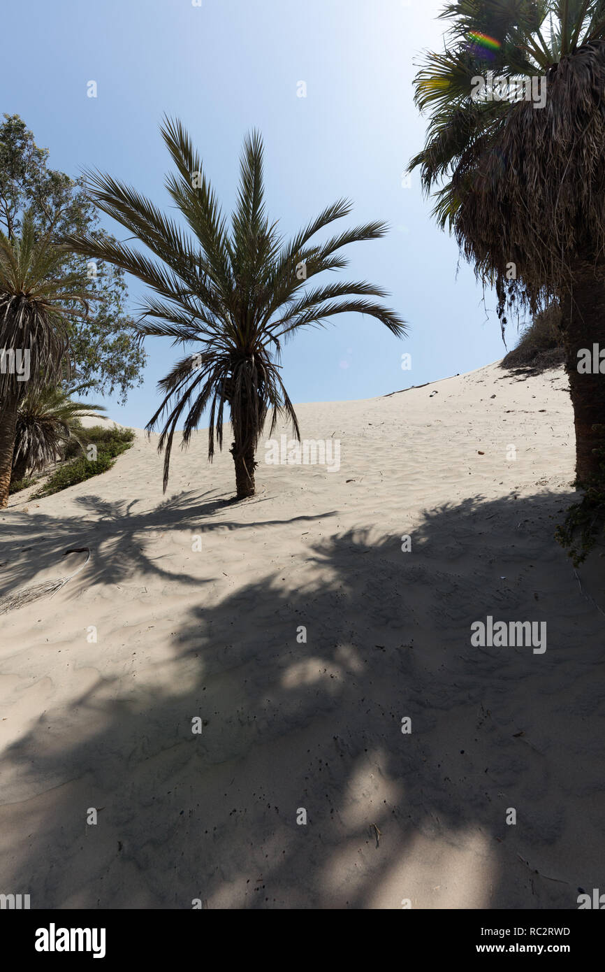 he Huacachina Oasis, desert sand dunes near the city of Ica, Peru Stock ...