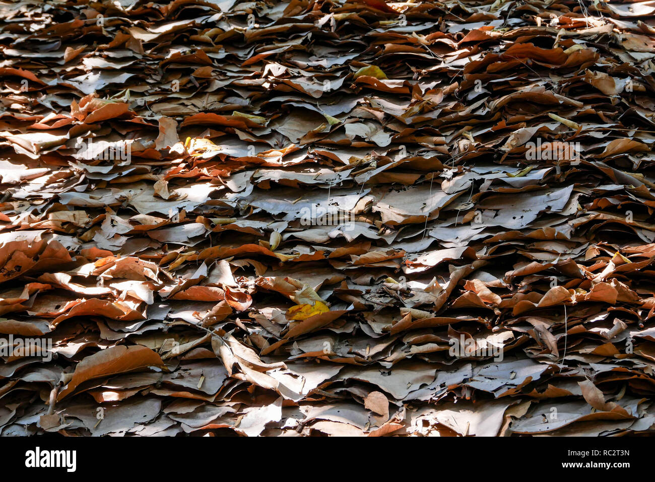 Grunge texture of the old leaf background Stock Photo - Alamy