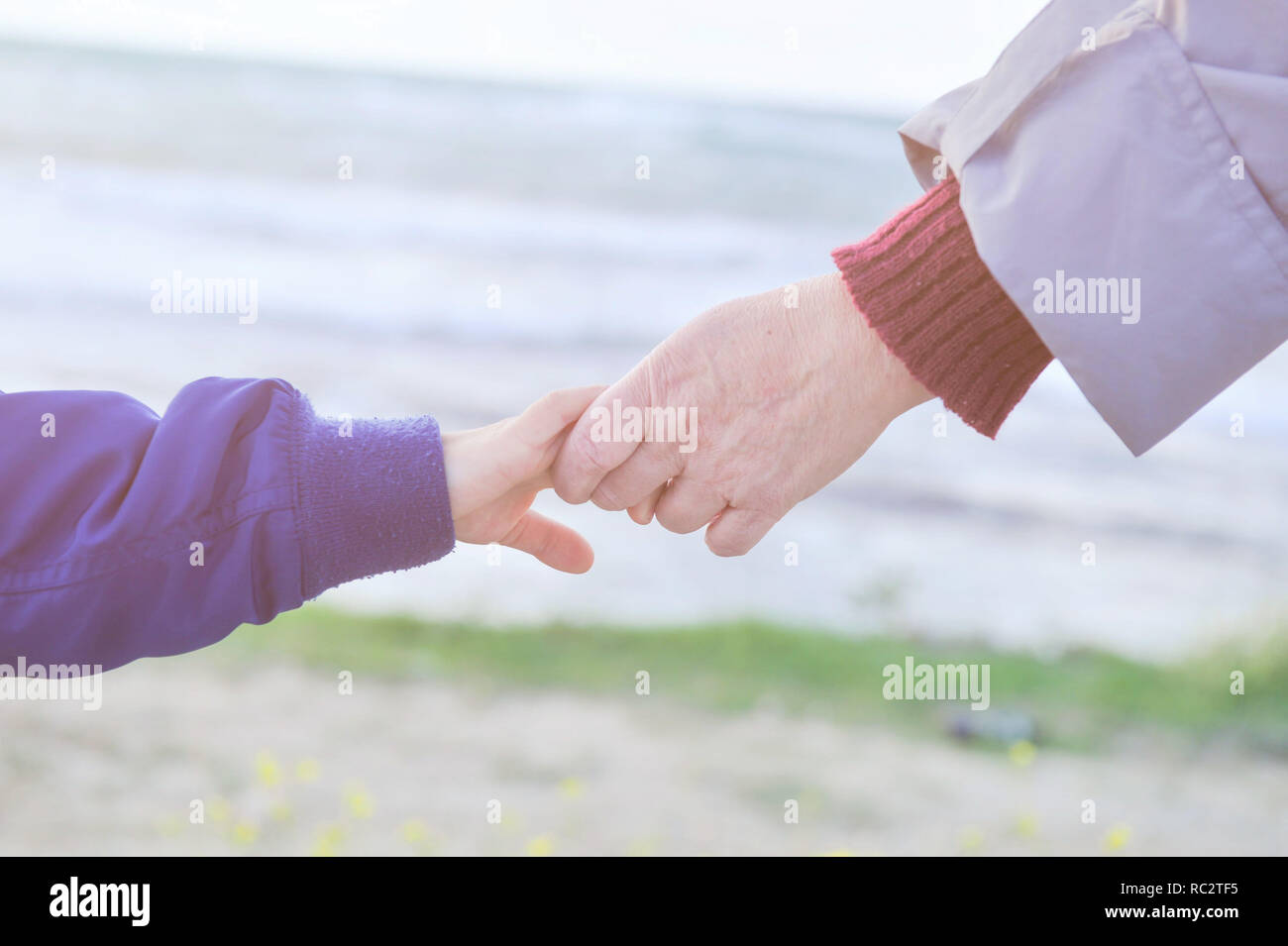 adult female hand holding child hand in jacket with tenderness and love ...
