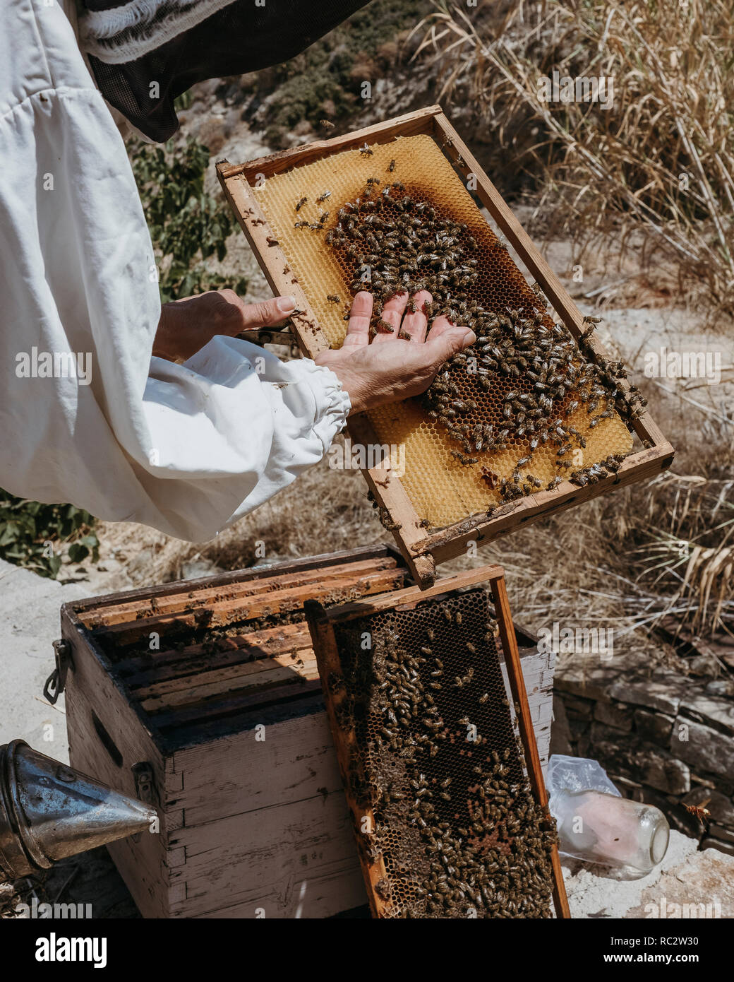 Bees crafts hi-res stock photography and images - Alamy