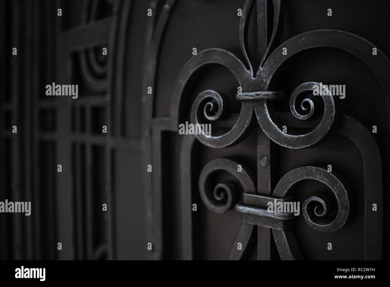 Metal gates are decorated with forged elements. Background with copy ...