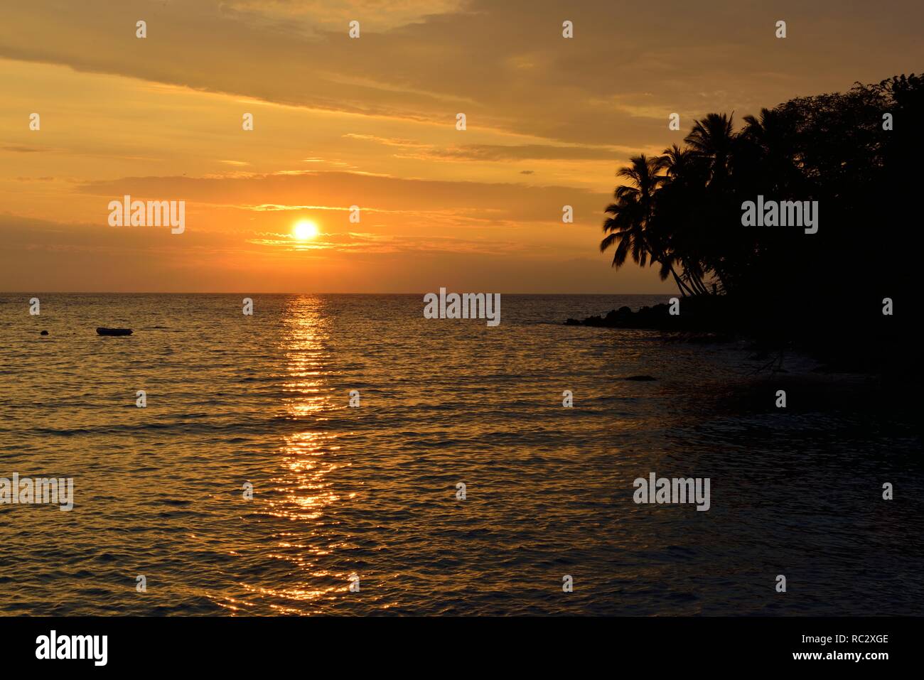 beautiful tropical sunset and the ocean in Hawaii Big Island Stock ...