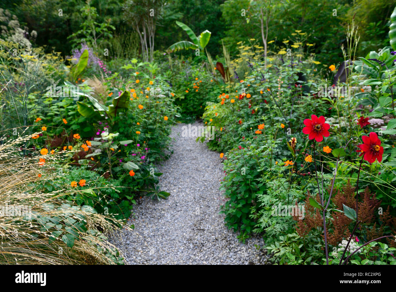 path,pathway,leading through,lead into,tropical bed,exotic planting ...