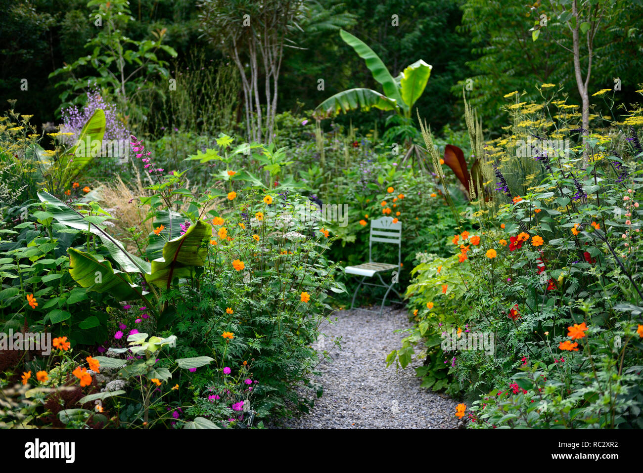 path,pathway,leading through,lead into,tropical bed,exotic planting ...