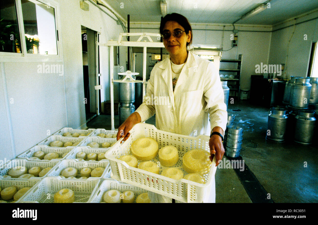 Tronchon cheese hi-res stock photography and images - Alamy