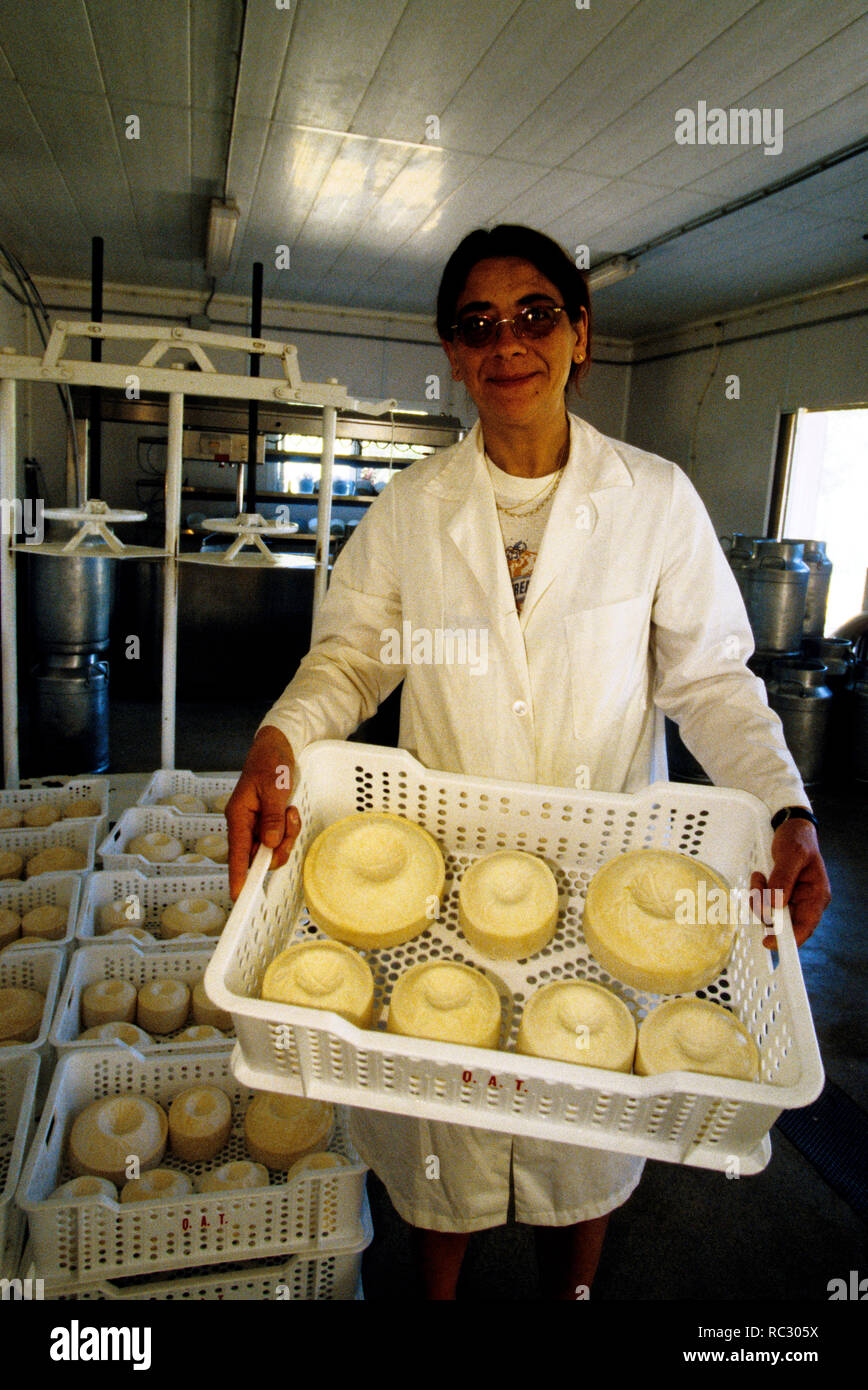 Tronchon cheese hi-res stock photography and images - Alamy