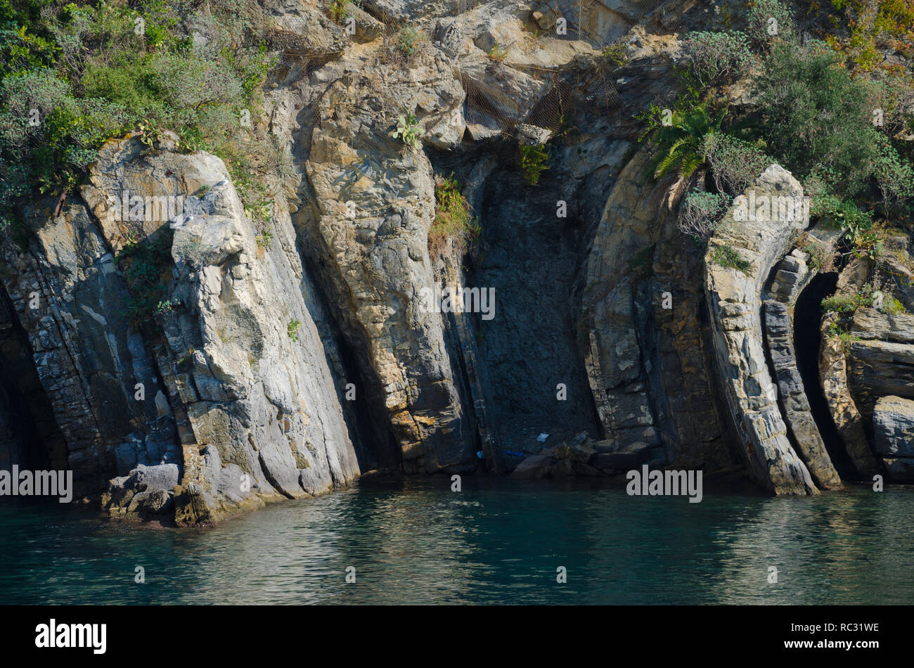 Anticline rock folds in tne limestone on the Ligurian coast of Italy ...
