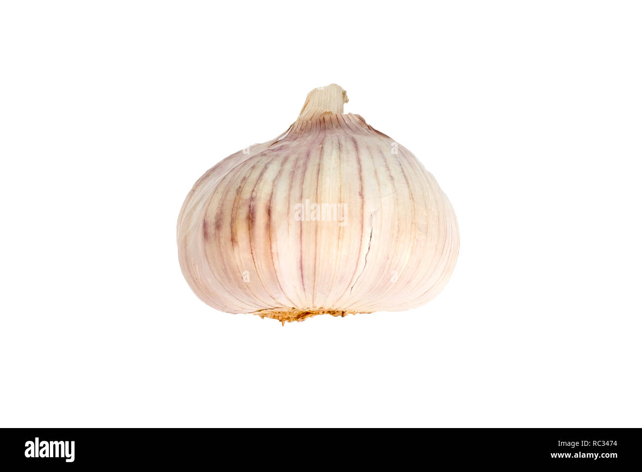 Garlic is a native spice used in cooking, images isolated on white ...