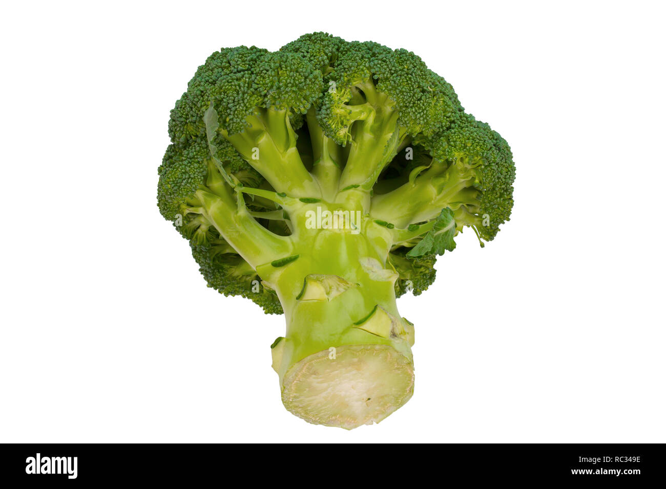 Broccoli isolated on white background. Fresh vegetable Stock Photo - Alamy