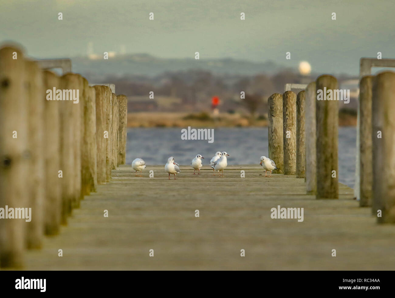 Long Exposure and Sunrise Lough Neagh Northern Ireland Stock Photo - Alamy