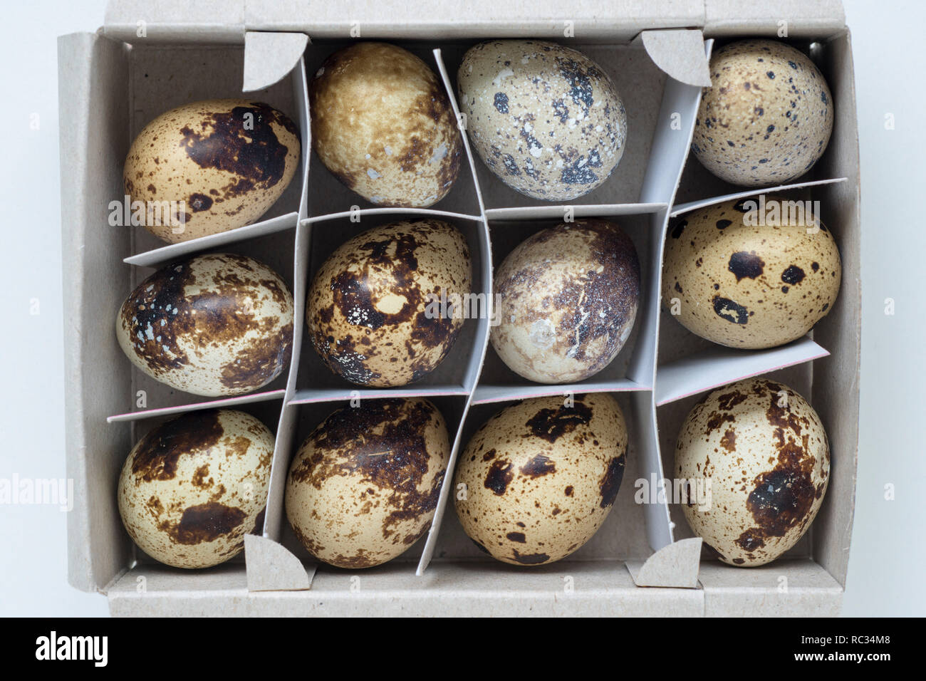 simple carton quail eggs package filled by fresh product Stock Photo ...
