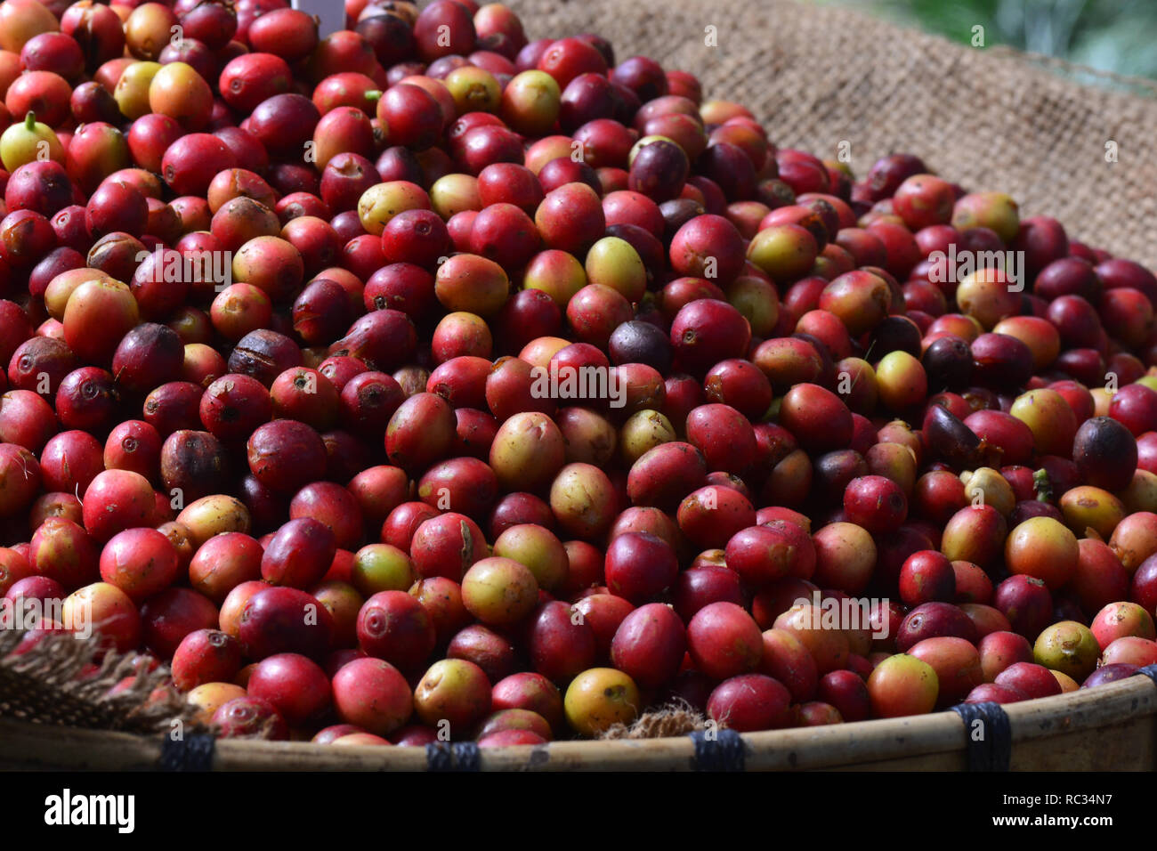 Wet method coffee hi-res stock photography and images - Alamy