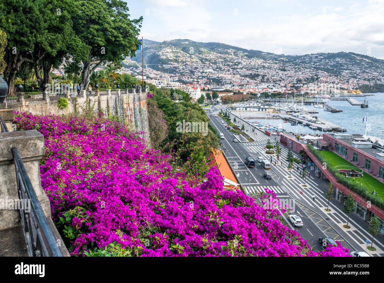 The harbour and marina at Funchal, the capital city of Madeira Stock ...