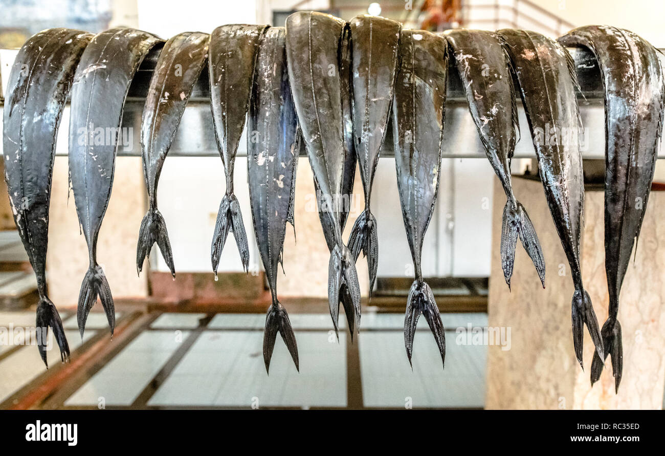 Black scabbard fish hi-res stock photography and images - Alamy