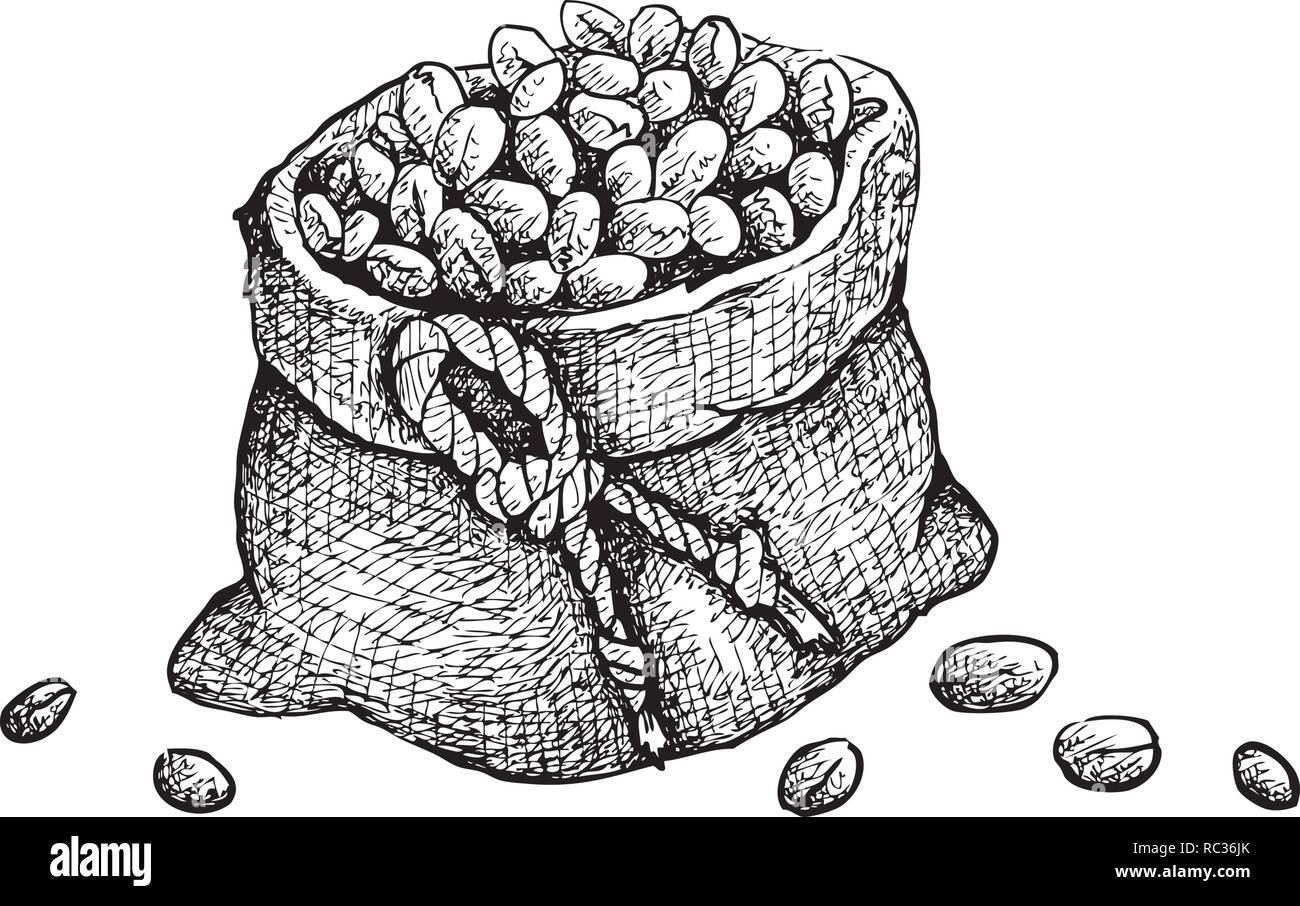Coffee Time, Illustration Hand Drawn Sketch of Roasted Coffee Beans in ...