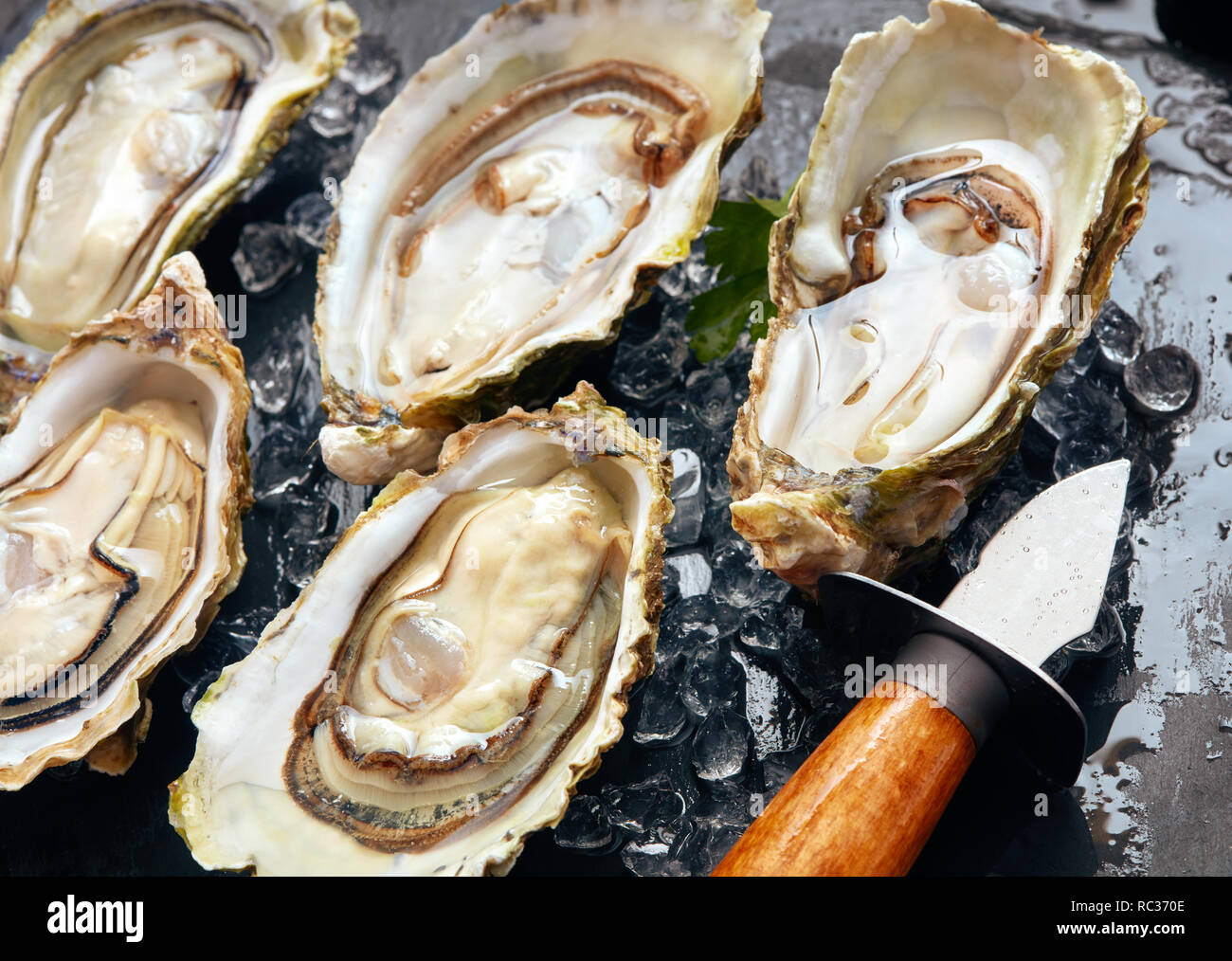 Open sea shell hi-res stock photography and images - Alamy