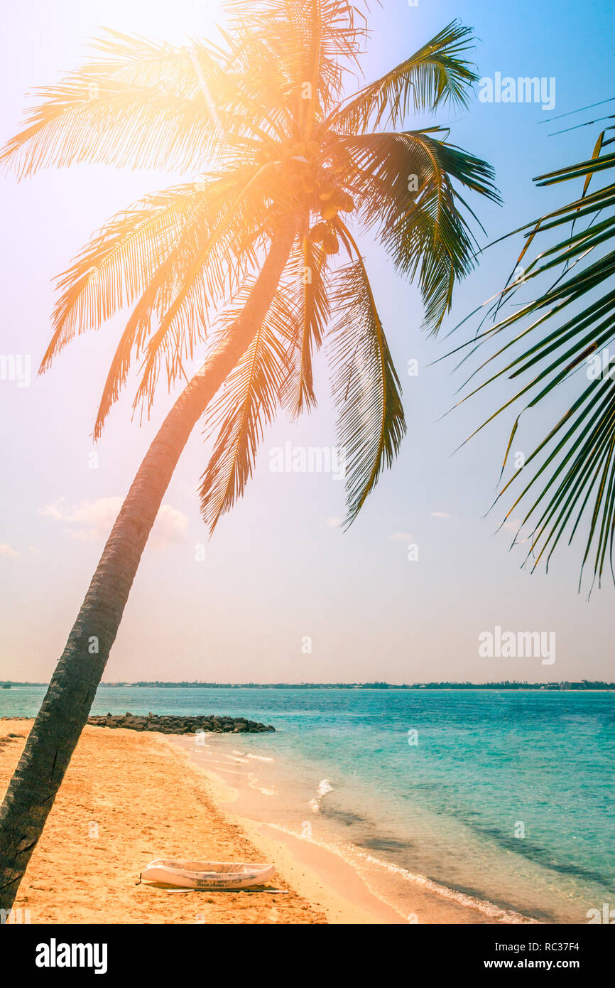 Tropical island in Bahamas. View on the beach with palm tree. Vacation ...